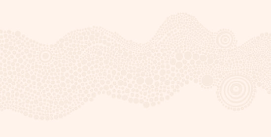 NACCHO Store – NACCHO store